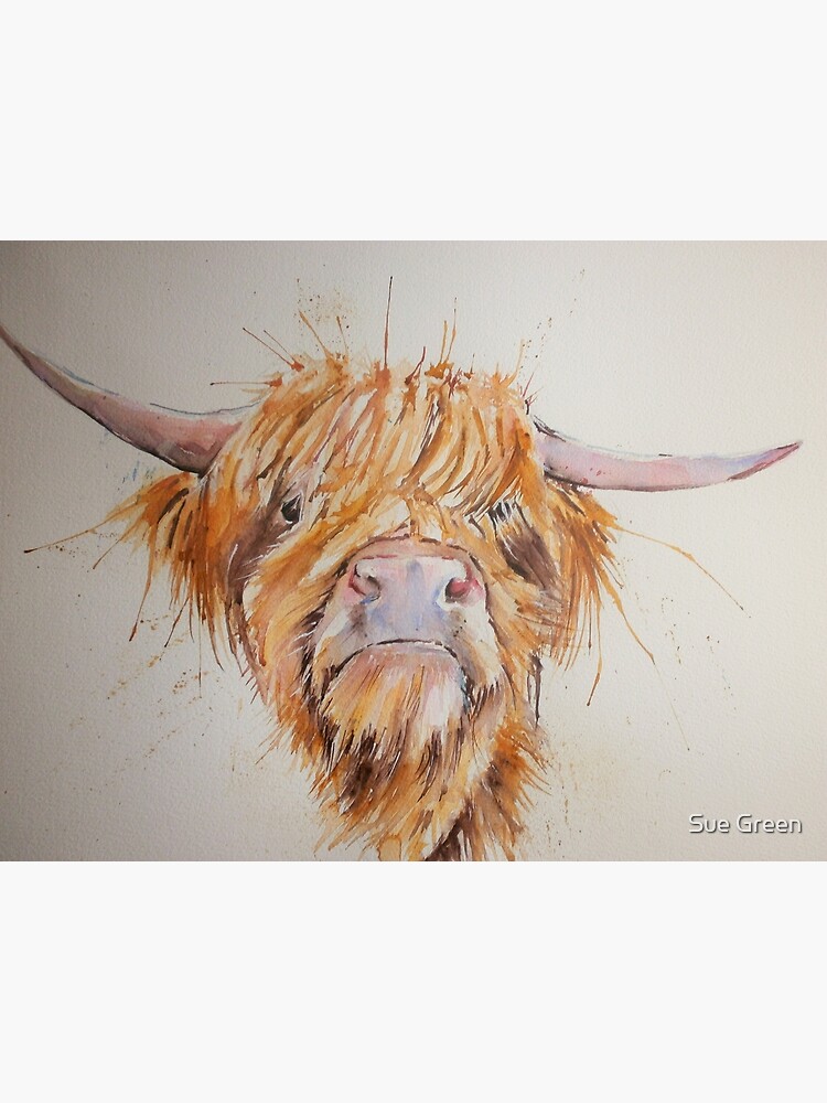 "Cheeky Highlander!" Art Print for Sale by Sue-Green | Redbubble