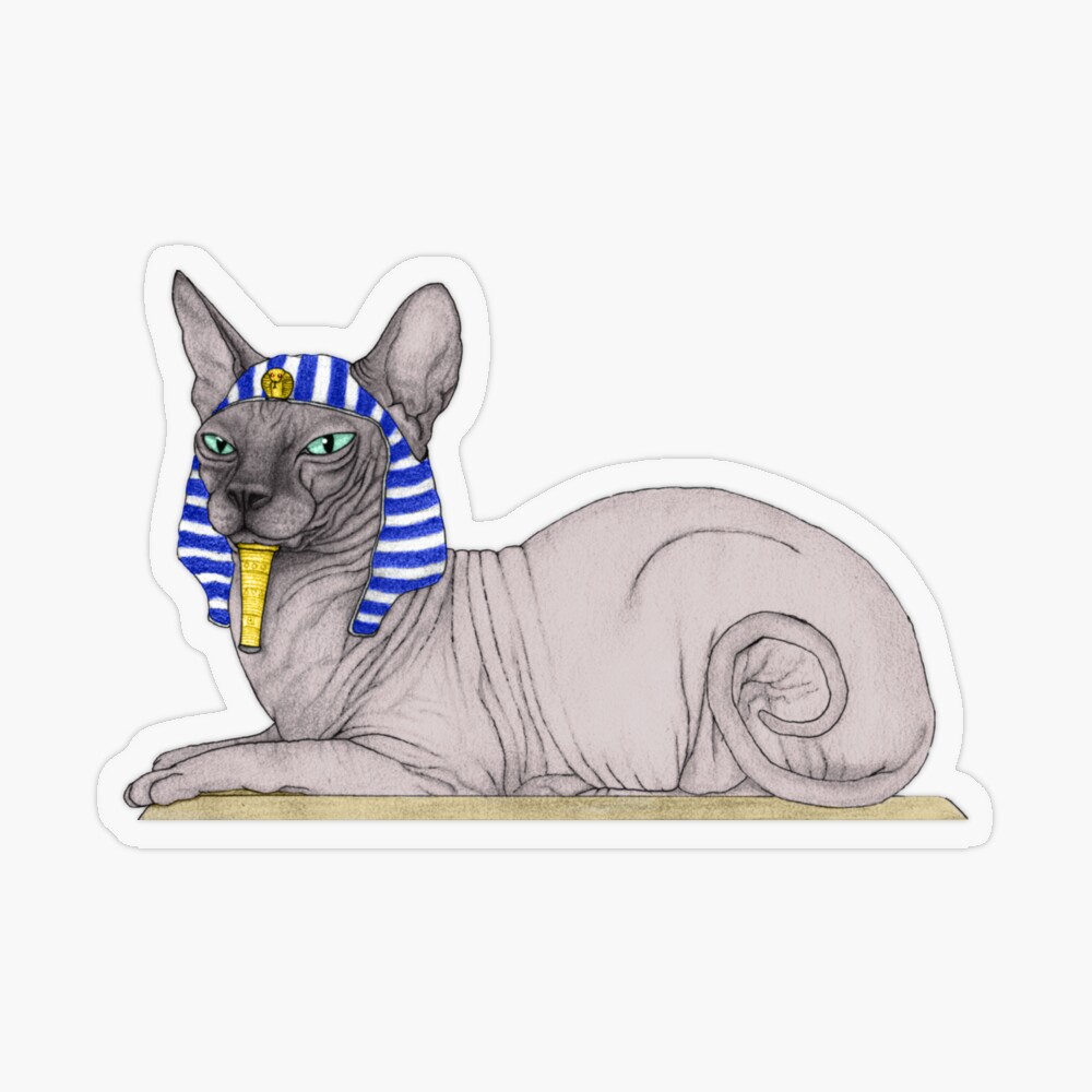 Sphynx Cat With The Pyramids Of Giza Canva Canvas Art Print