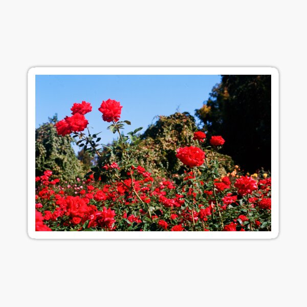 "Ingrid" Sticker for Sale by purgatorie | Redbubble