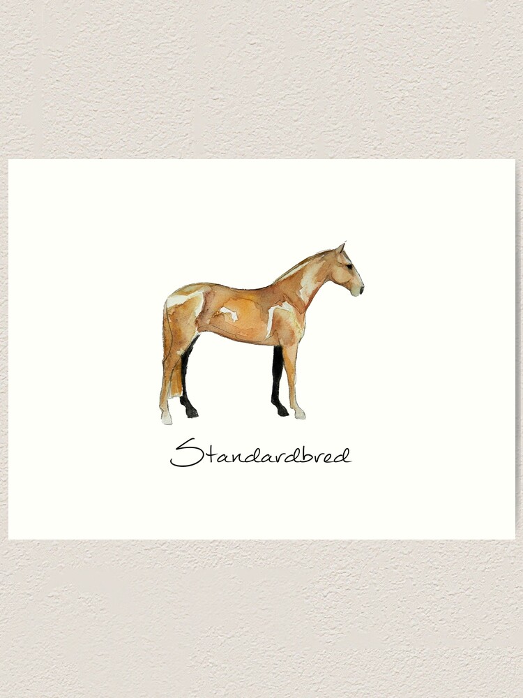 "Standardbred Horse Breed Profile" Art Print by VieWoodman | Redbubble