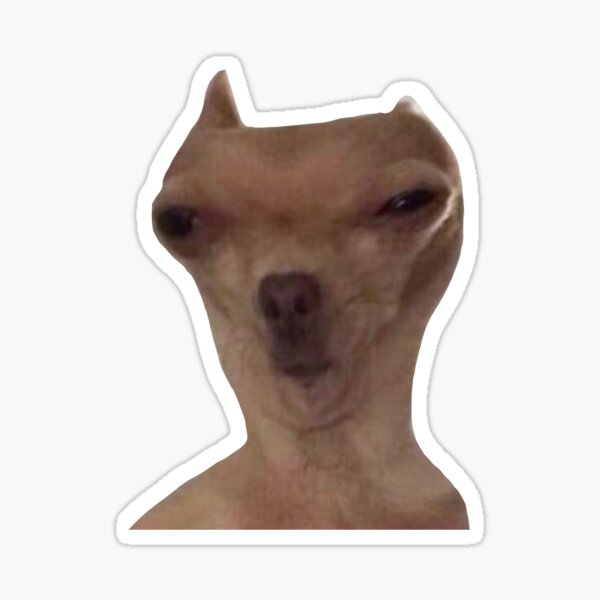 "Alien dogo meme " Sticker for Sale by smellbellart3 | Redbubble