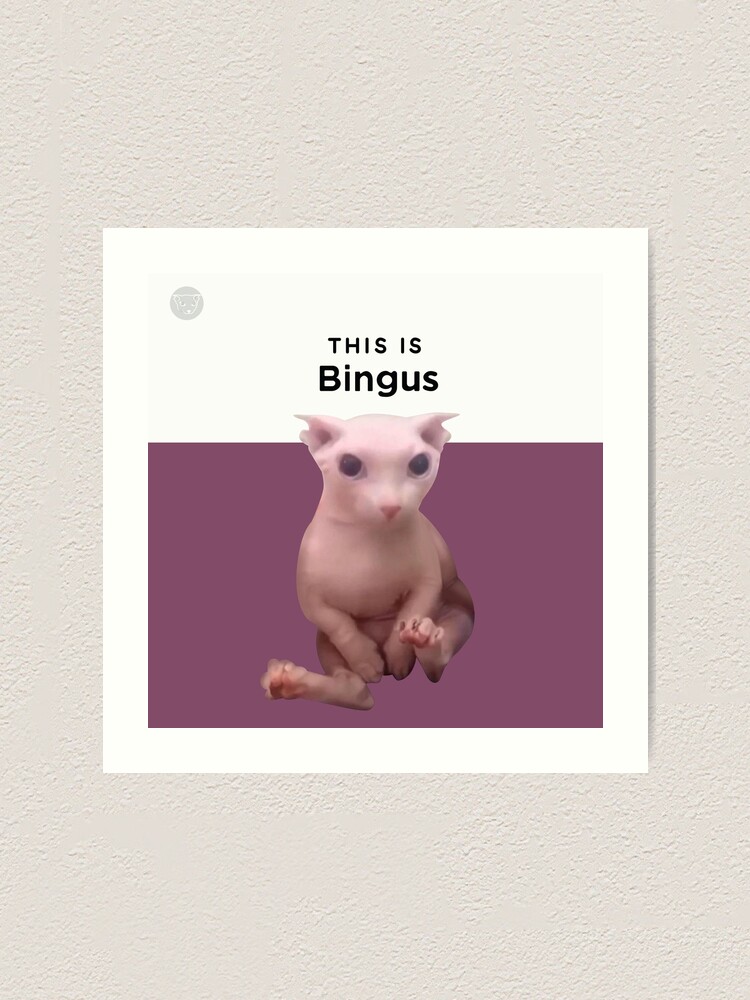 "This is Bingus HD" Art Print for Sale by Rzera- | Redbubble