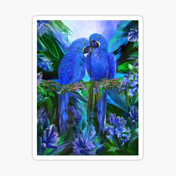 "Tropic Spirits - Hyacinth Macaw" Sticker for Sale by carolcavalaris ...