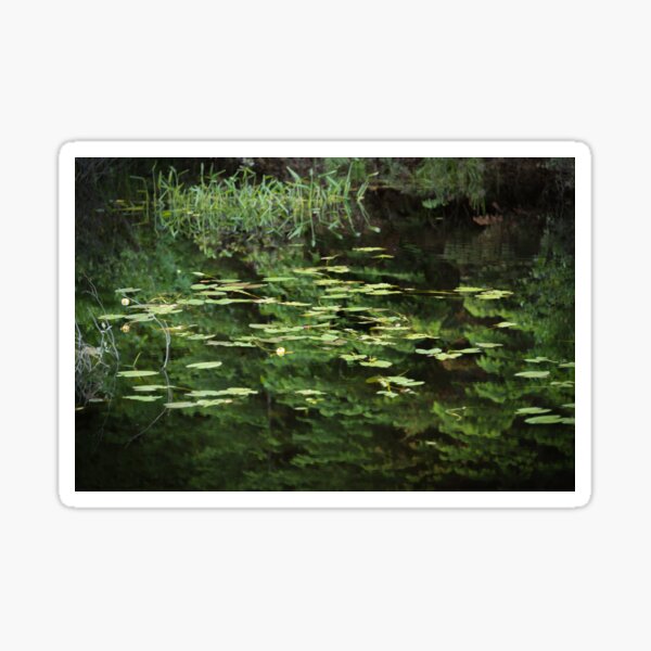 "Time for Reflection" Sticker for Sale by JolaMartysz | Redbubble