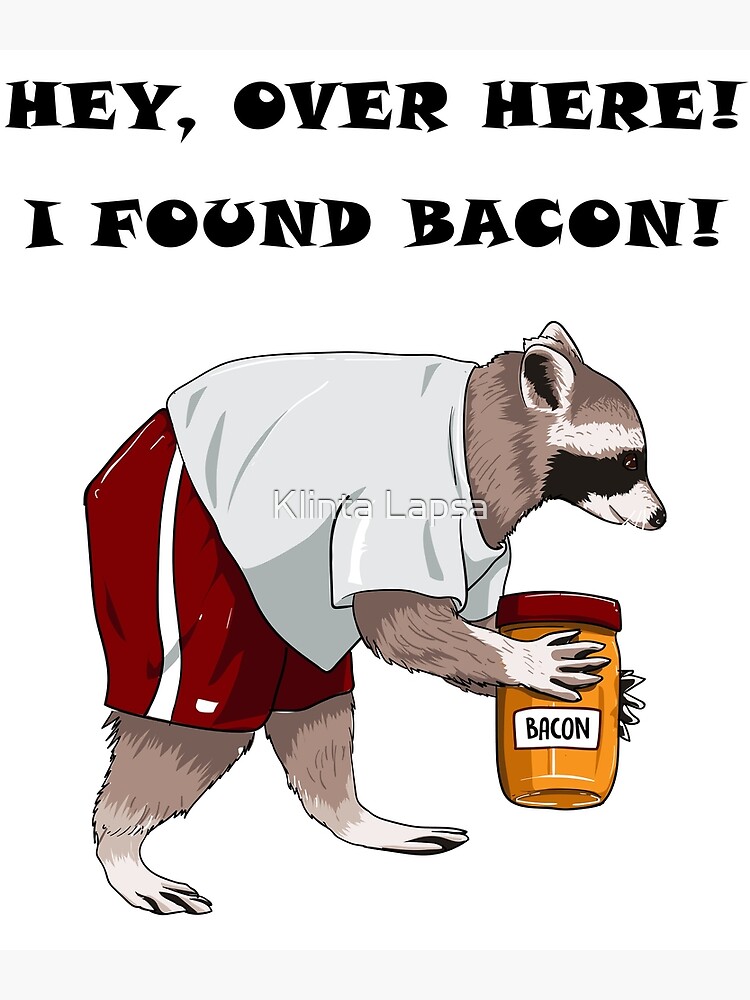 "Ziggy the Raccoon - Hey, over here! I found bacon!" Poster for Sale by ...