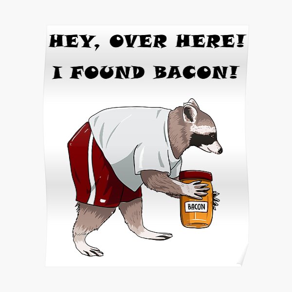 "Ziggy the Raccoon - Hey, over here! I found bacon!" Poster for Sale by ...