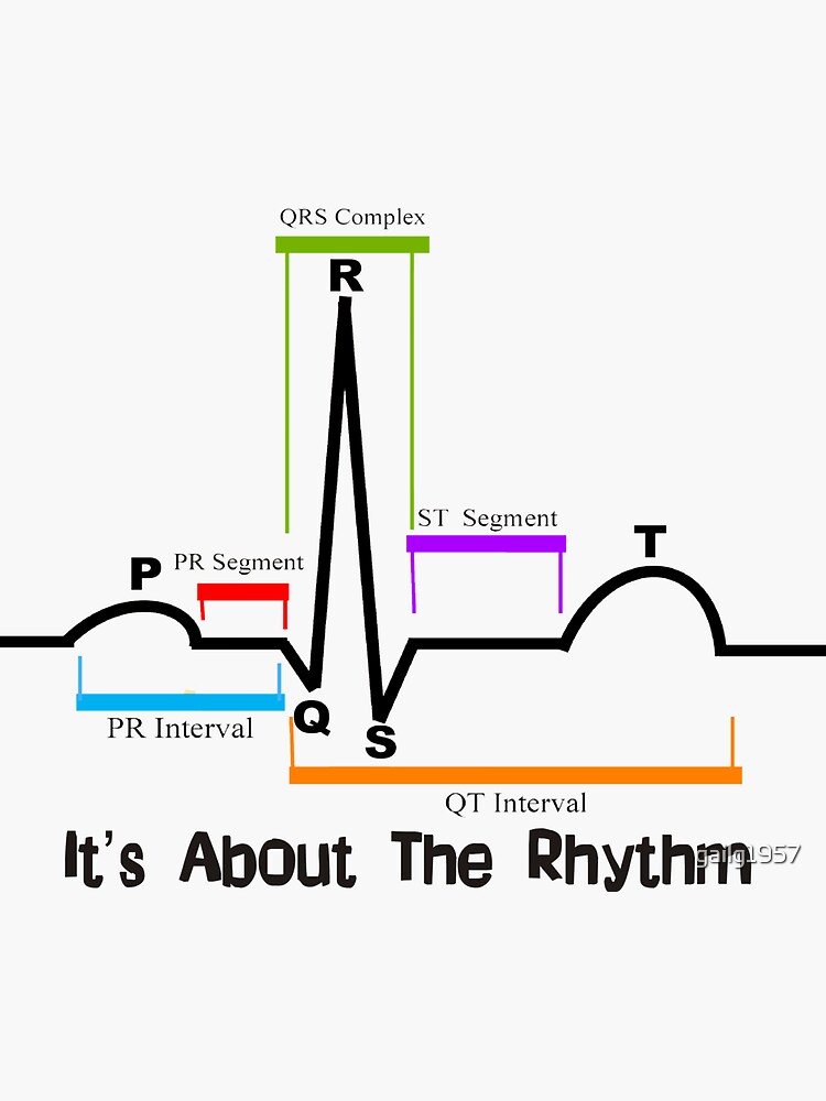 "Cardiac ST Segment Rhythm" Sticker for Sale by gailg1957 | Redbubble