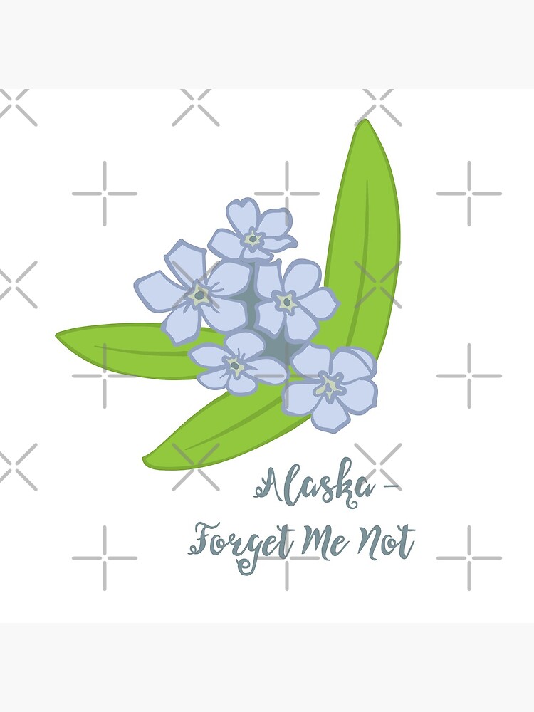 "Alaska State Flower - Forget Me Not" Poster for Sale by choisanezine ...