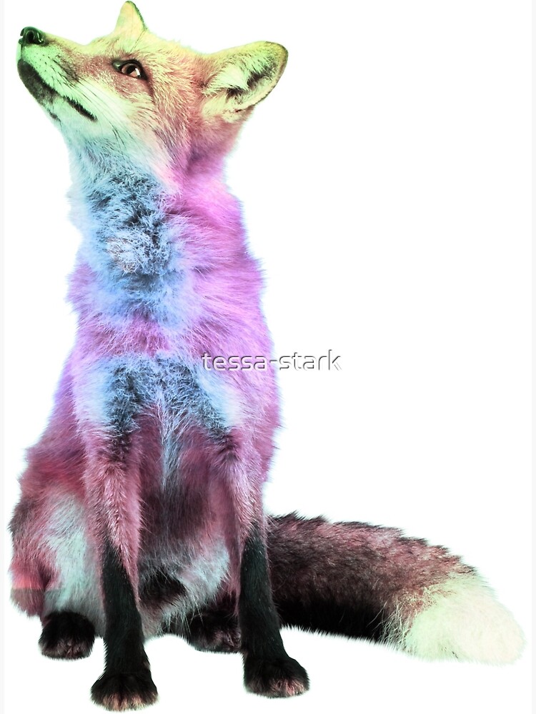 "Rainbow Fox" Photographic Print by tessa-stark | Redbubble