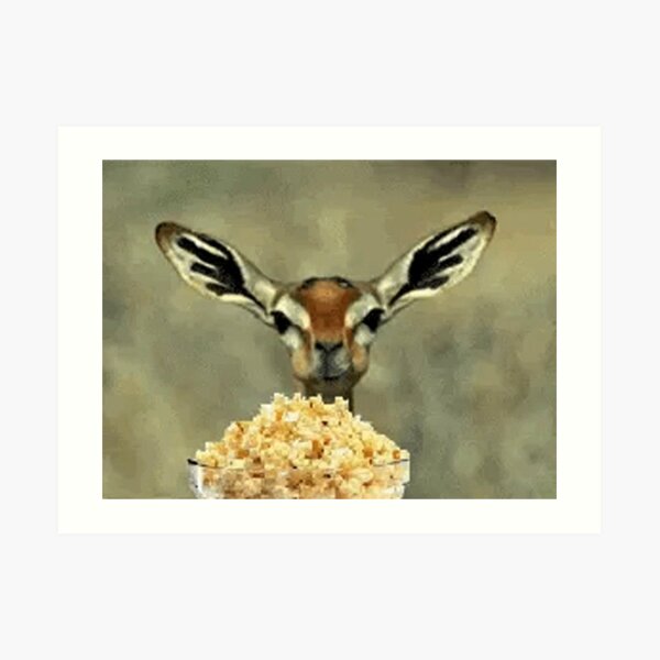 "Deer eating popcorn meme" Art Print for Sale by mikejak | Redbubble