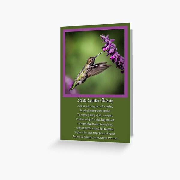 "Spring Equinox Blessing with Hummingbird and Bug" Greeting Card for ...