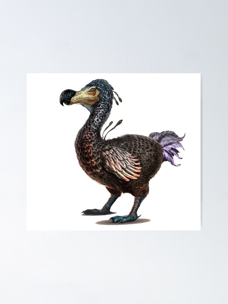 "Ark Survival Evolved Dodo" Poster by JuloCreation | Redbubble
