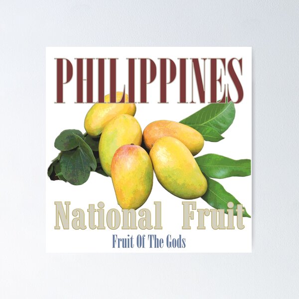 Philippine National Fruit Mango Premium Photo | A Basket Of Mangoes