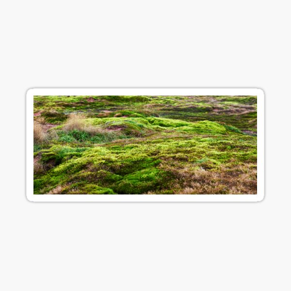 ""мох" "moss"" Sticker for Sale by AndreasKoerner | Redbubble