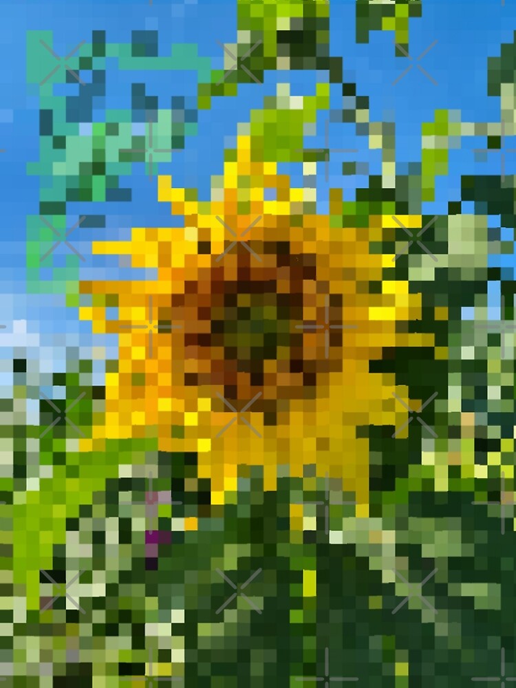 "Pixel Sunflower, Pixel Sonnenblume. " Photographic Print by Niko300312 ...