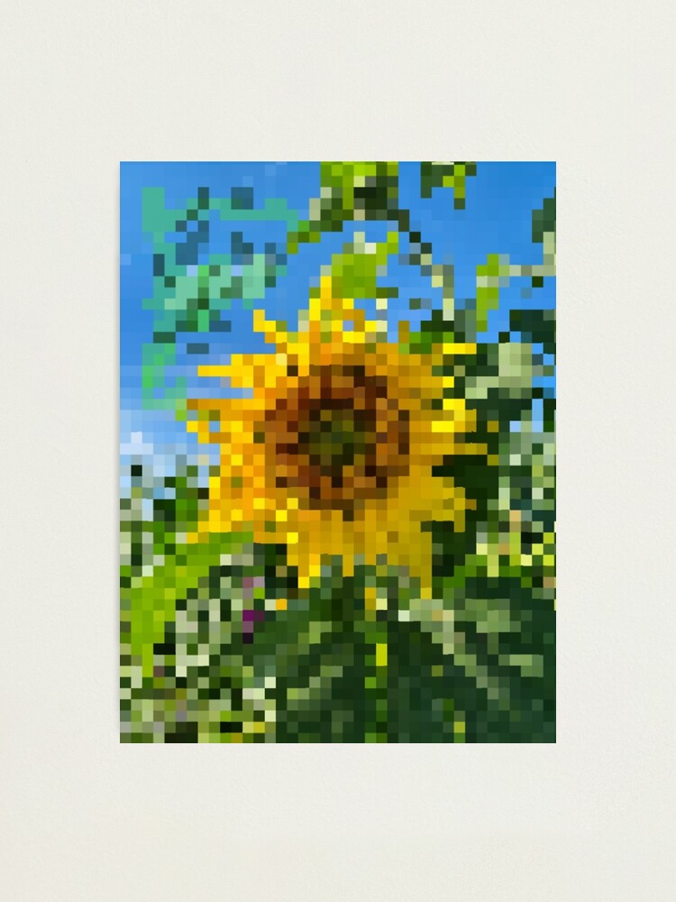 "Pixel Sunflower, Pixel Sonnenblume. " Photographic Print by Niko300312 ...