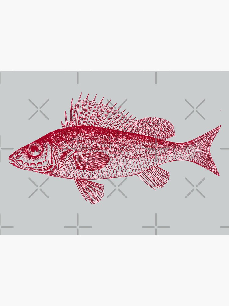 "Vintage fish etching graphics" Sticker for Sale by Ankerd | Redbubble