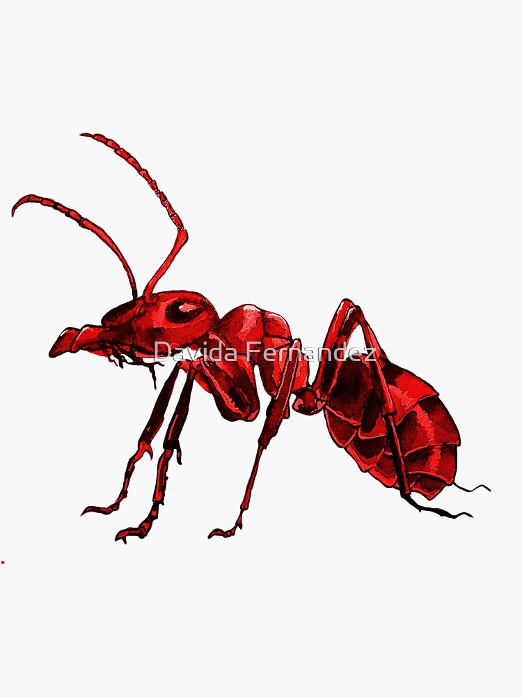 "fire ant" Sticker for Sale by divafern | Redbubble