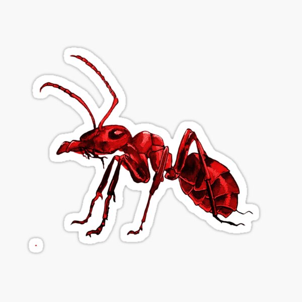Ant Stickers | Redbubble