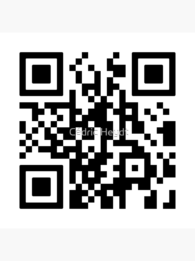 "Lebron James Kid Meme QR-code" Sticker for Sale by Cédric Heydt ...