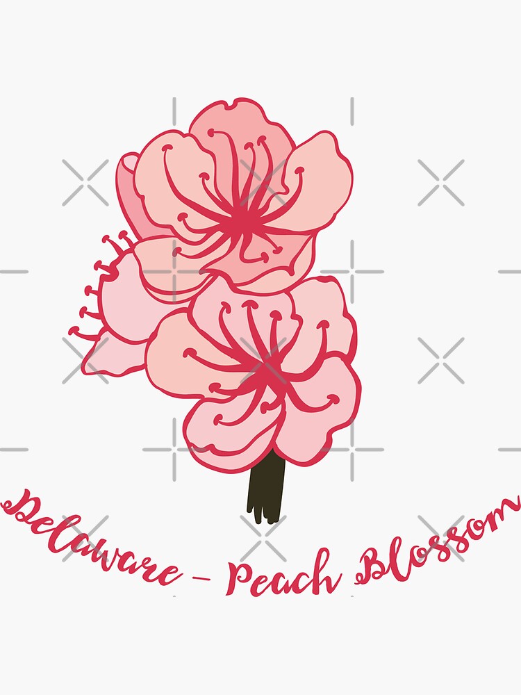 "Delaware State Flower - Peach Blossom" Sticker by choisanezine | Redbubble