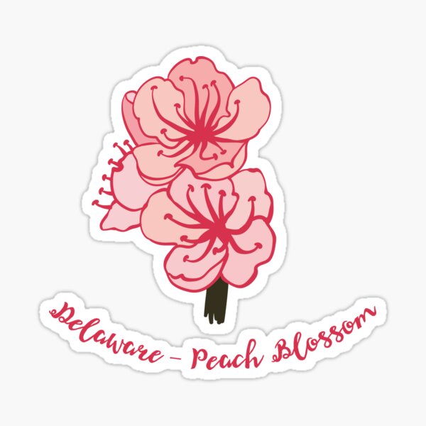 "Delaware State Flower - Peach Blossom" Sticker by choisanezine | Redbubble