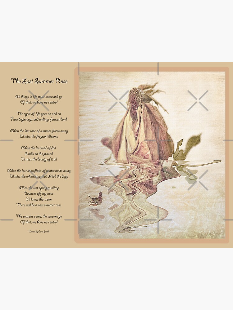 "The Last Summer Rose With Written Poem" Sticker by CarolM | Redbubble