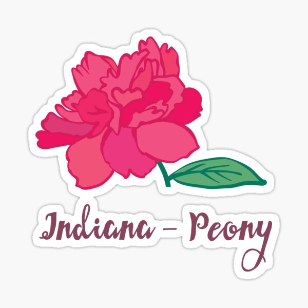 "Indiana State Flower - Peony" Sticker for Sale by choisanezine | Redbubble