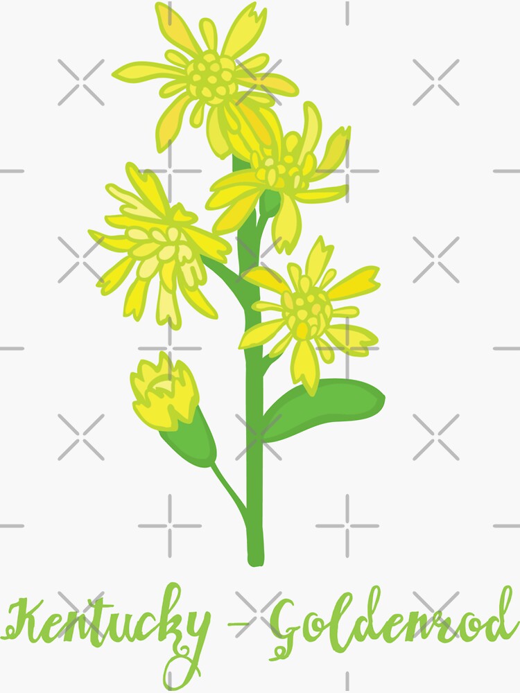 "Kentucky State Flower - Goldenrod" Sticker for Sale by choisanezine ...