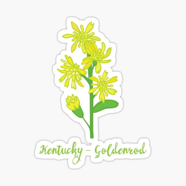 "Kentucky State Flower - Goldenrod" Sticker for Sale by choisanezine ...