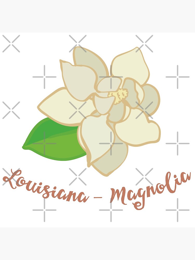"Louisiana State Flower - Magnolia" Poster for Sale by choisanezine ...