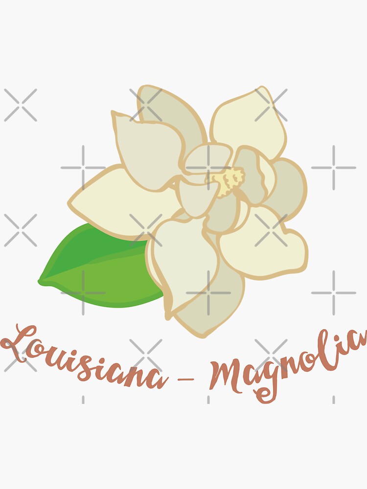 "Louisiana State Flower - Magnolia" Sticker by choisanezine | Redbubble