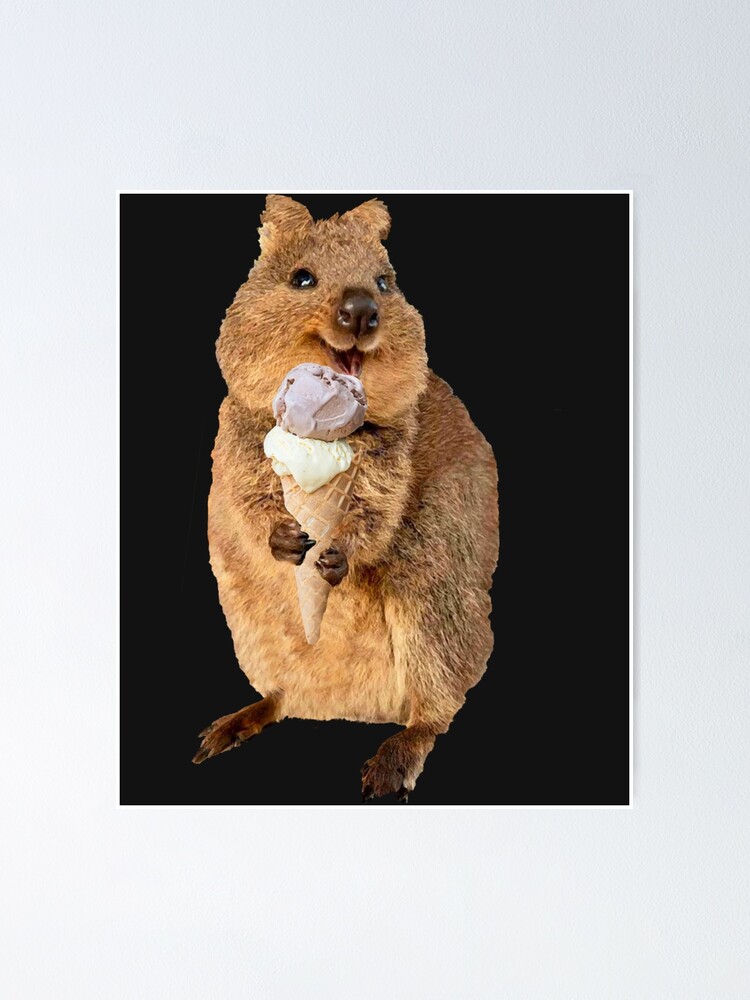 "Kawaii Quokka eating ice cream cone" Poster by Mastainich09 | Redbubble