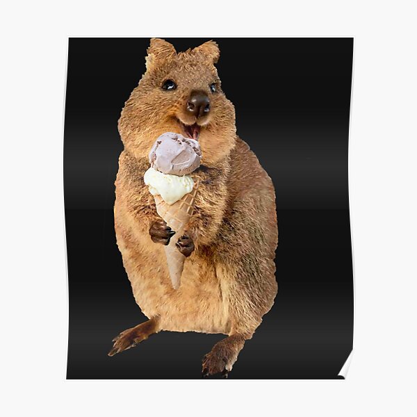 "Kawaii Quokka eating ice cream cone" Poster by Mastainich09 | Redbubble