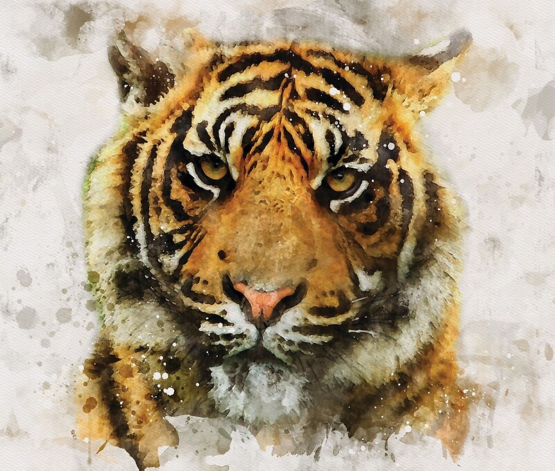 "Tiger watercolour digital portrait" by Gerald Waters | Redbubble