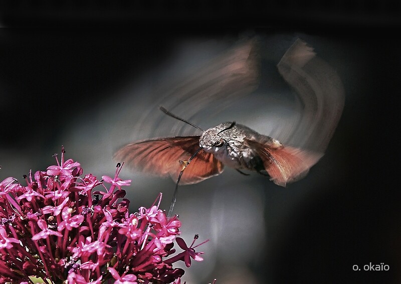 "New Finition 2020 / r1584/ exclusif super best : Most Beautiful Photos ...