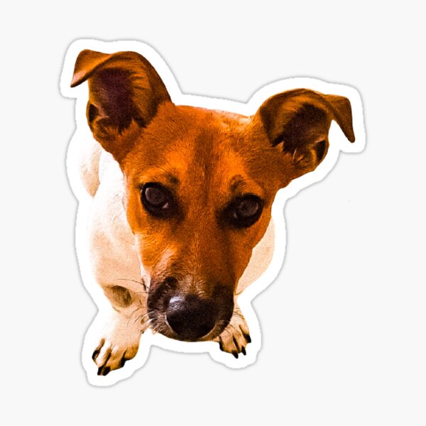 "Little Kev" Sticker for Sale by themumllennial | Redbubble