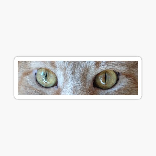 "Cat Eyes Strip | Sharp Eye-catching Striking Conspicuous Simple Design ...
