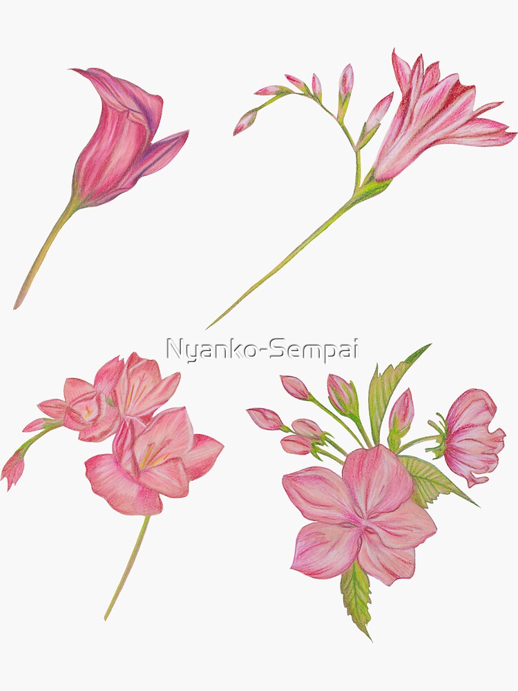 "flowers pack" Sticker for Sale by Nyanko-Sempai | Redbubble