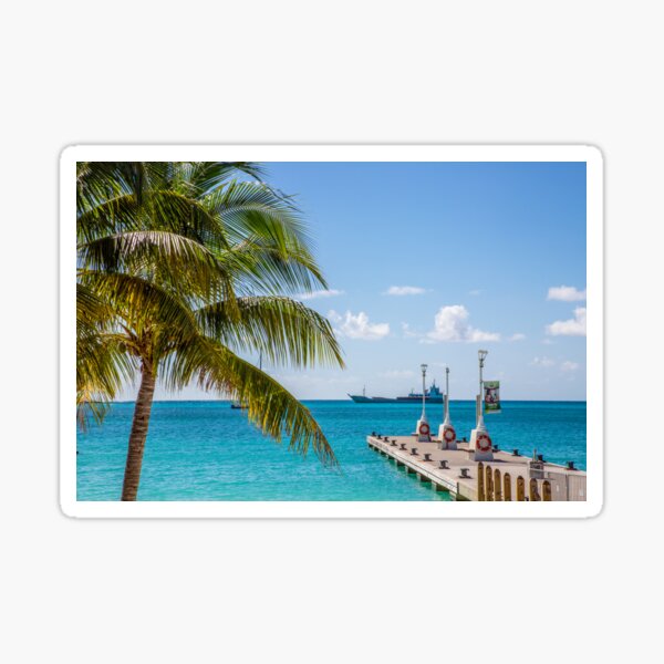 "Palm Tree and Pier Off Of Sint Maarten Beach in the Caribbean (Saint ...
