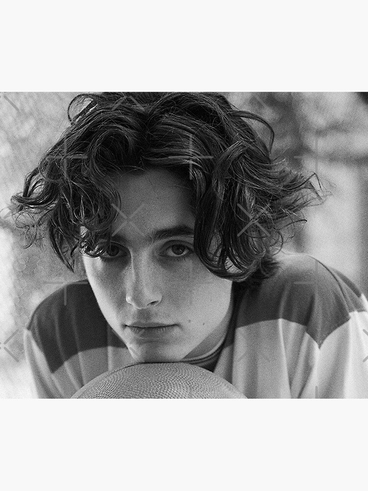 " timothee chalamet snl, masks skit " Sticker by Designs248877 | Redbubble