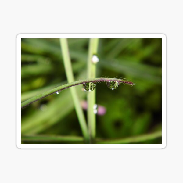 "Parallel Universes" Sticker by WildestArt | Redbubble