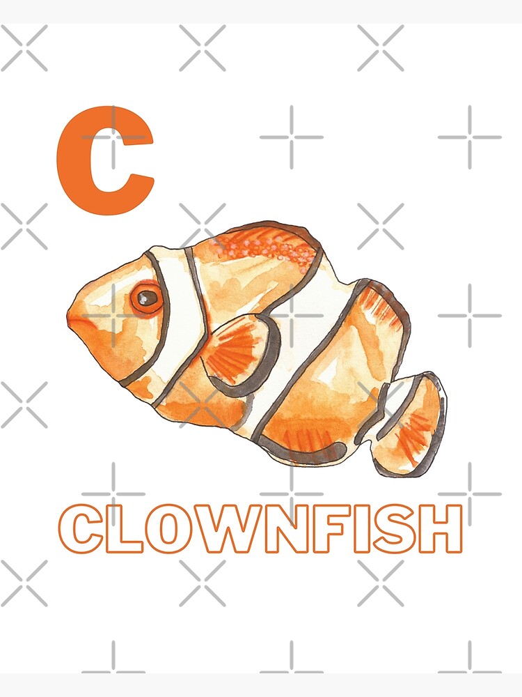 "Clownfish Starts with C Ocean Animals Alphabet Letter C" Metal Print ...