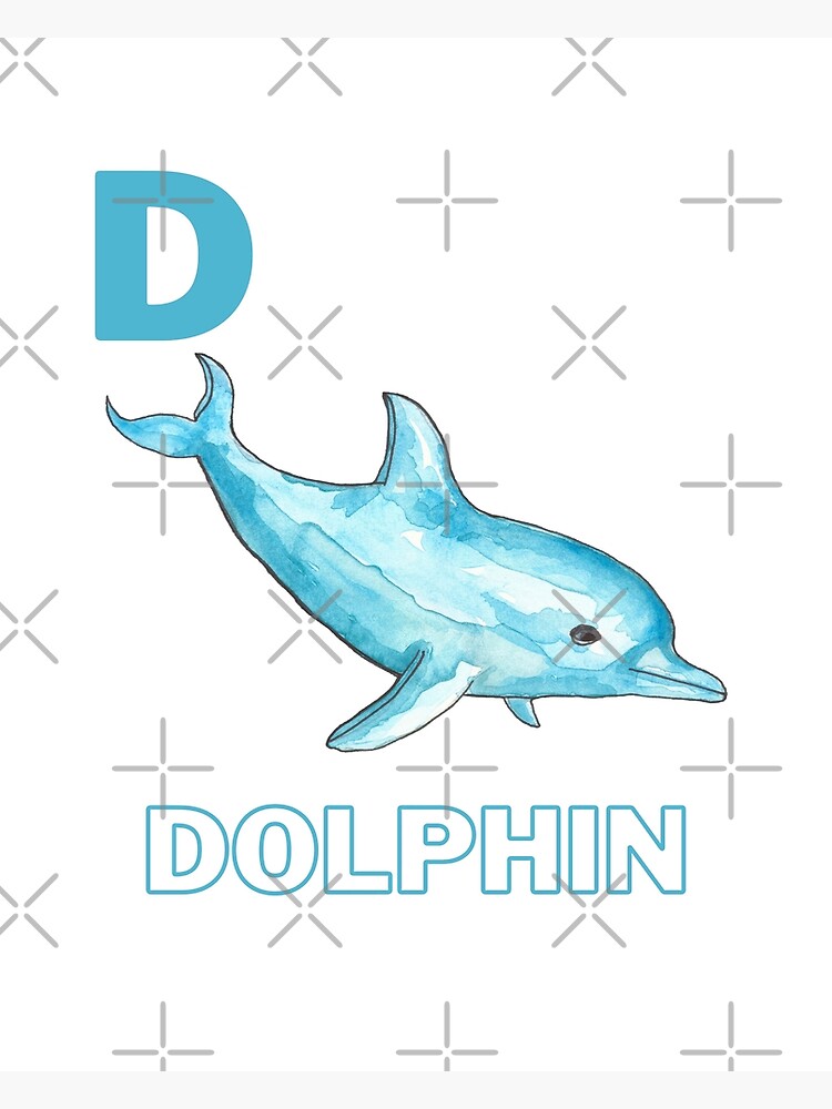 Lámina fotográfica «El delfín comienza con la letra D del alfabeto de ...