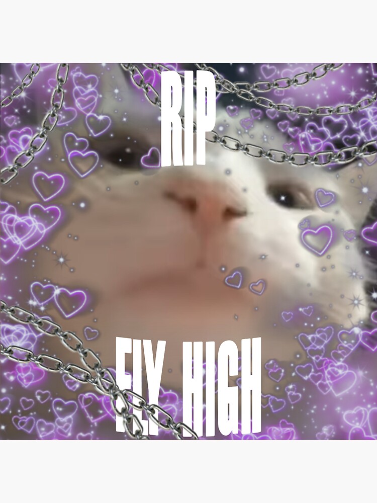 "catJAM RIP FLY HIGH" Sticker for Sale by ianhateshimself | Redbubble