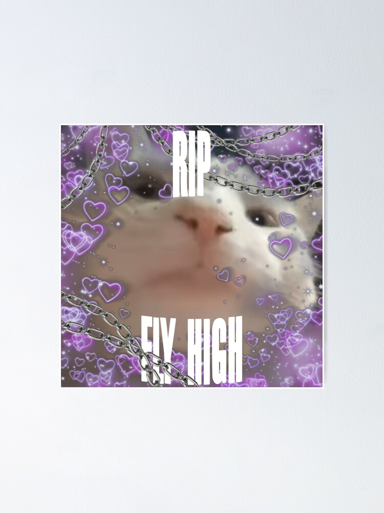 "catJAM RIP FLY HIGH" Poster for Sale by ianhateshimself | Redbubble