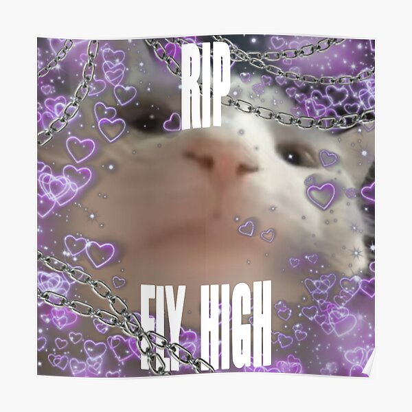 "catJAM RIP FLY HIGH" Poster for Sale by ianhateshimself | Redbubble
