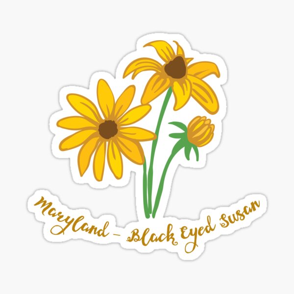 "Maryland State Flower - Black Eyed Susan" Sticker for Sale by ...