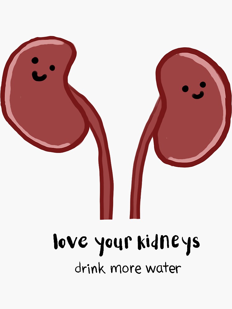 "Love your kidneys, Drink more water " Sticker for Sale by strugglingdr ...