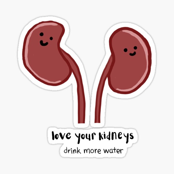 "Love your kidneys, Drink more water " Sticker for Sale by strugglingdr ...